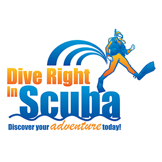 Chicago Dive & Water Sports Pavilion | Travel Shows